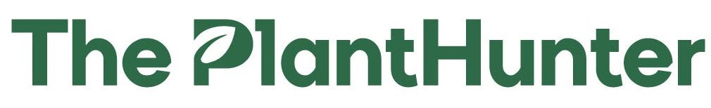 Wholesale of youngplants & B2B supply to e-Commerce green plant shops ...